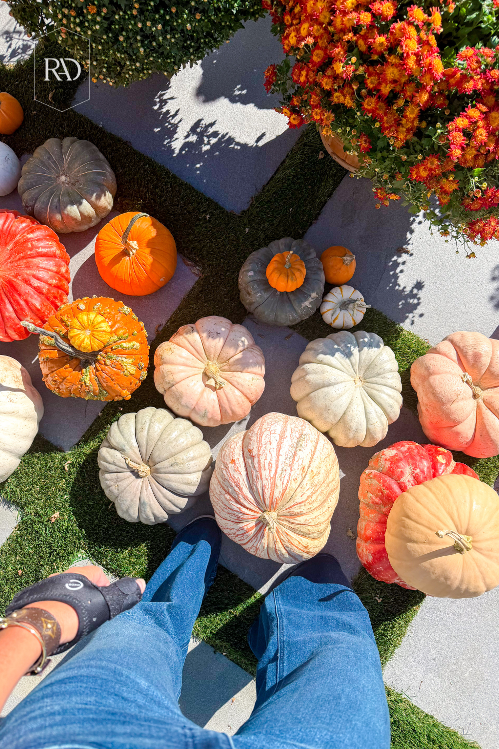 How to Create a Cozy & Slightly Spooky Fall Porch